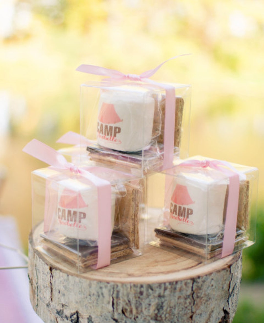 12 Girly Fall Camping Smore Glamping Pink Tent Idea Girls Birthday ...