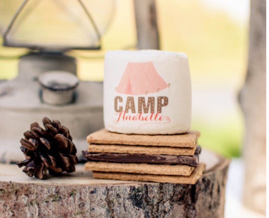 12 Girly Fall Camping Smore Glamping Pink Tent Idea Girls Birthday ...