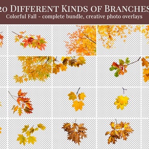 Colorful Fall Photo Overlays, Complete Bundle, Haze, Lights, Bokeh ...