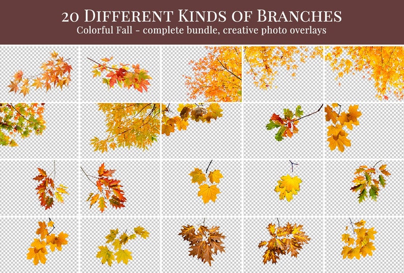 Colorful Fall Photo Overlays, Complete Bundle, Haze, Lights, Bokeh ...