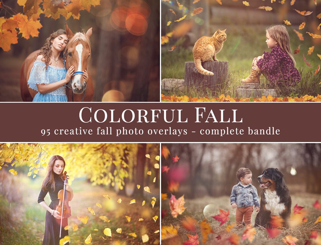 Colorful Fall Photo Overlays, Complete Bundle, Haze, Lights, Bokeh ...
