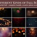 Colorful Fall Photo Overlays, Complete Bundle, Haze, Lights, Bokeh ...