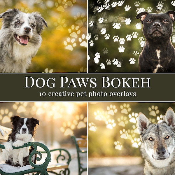 Animal Overlays - Etsy