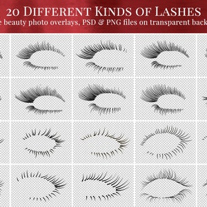 Diva Lashes Photo Overlays for Photoshop, Creative Portrait Overlays ...
