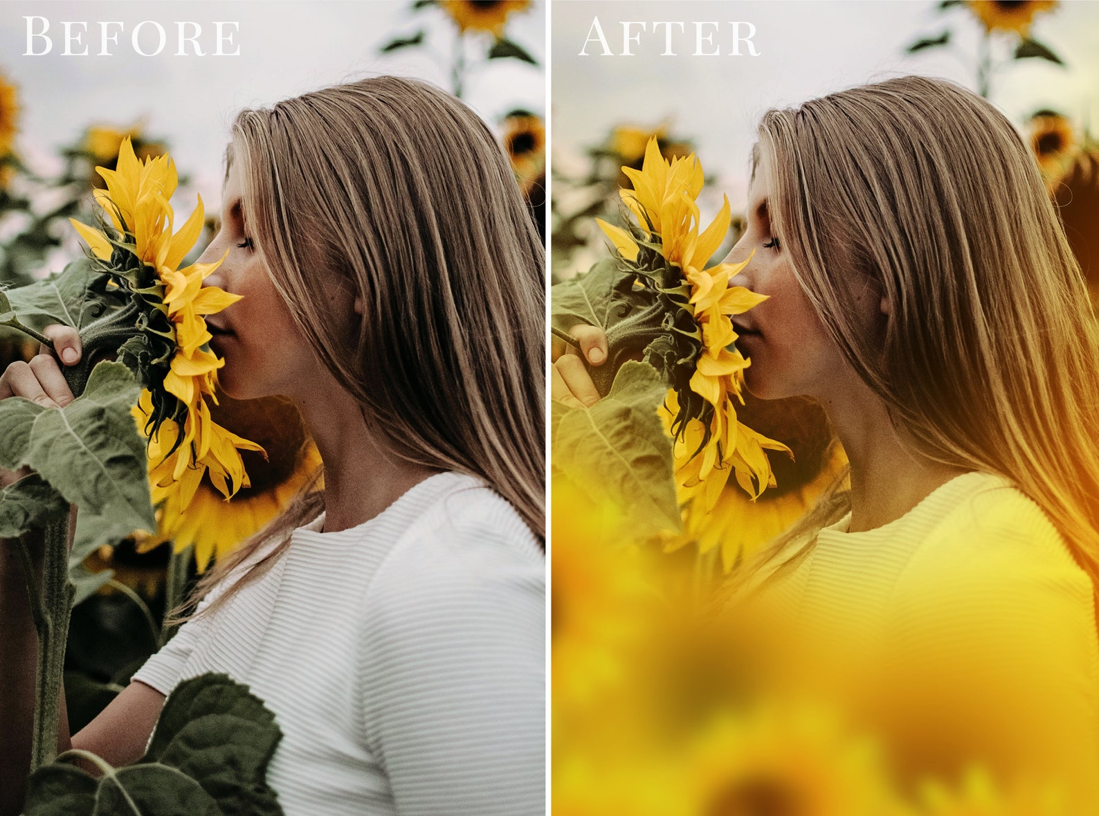Sunflower Photo Overlays for Photoshop, Creative Overlays for ...