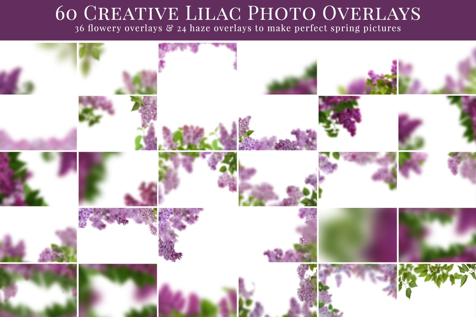 Lilacs Photo Overlays "dreamy Lilac", Flowery Photo Overlays, Creative ...