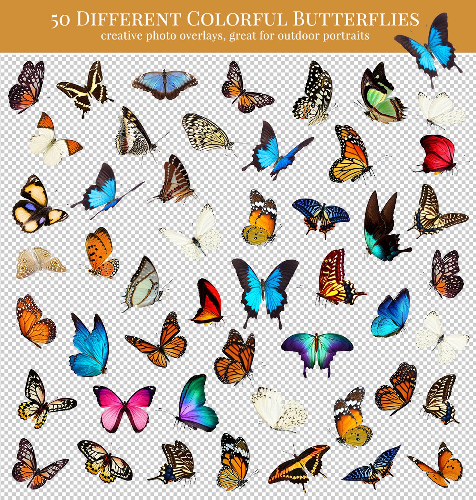 Butterfly Photo Overlays flutter by Butterflies - Etsy