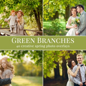 Great Price - "spring Bundle" - the Best of Our Spring Photo Overlays ...