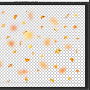 Fall Photo Overlays "linden Grove", Falling Leaves Photo Overlay ...