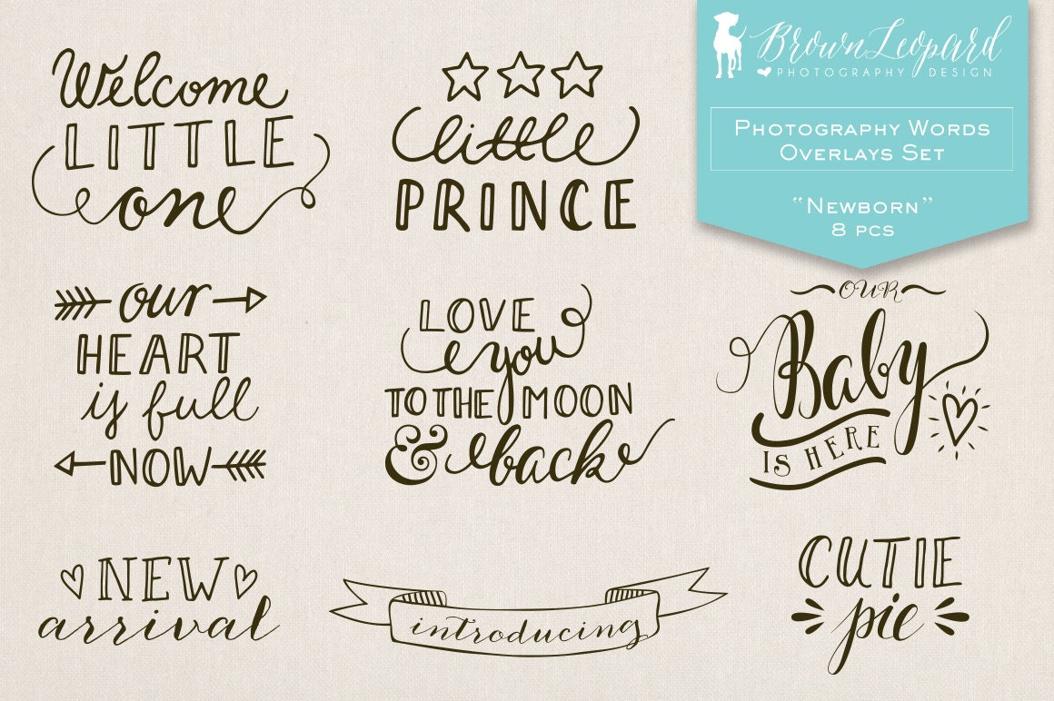 Photography Words Overlays 15 Newborn 8pcs INSTANT | Etsy
