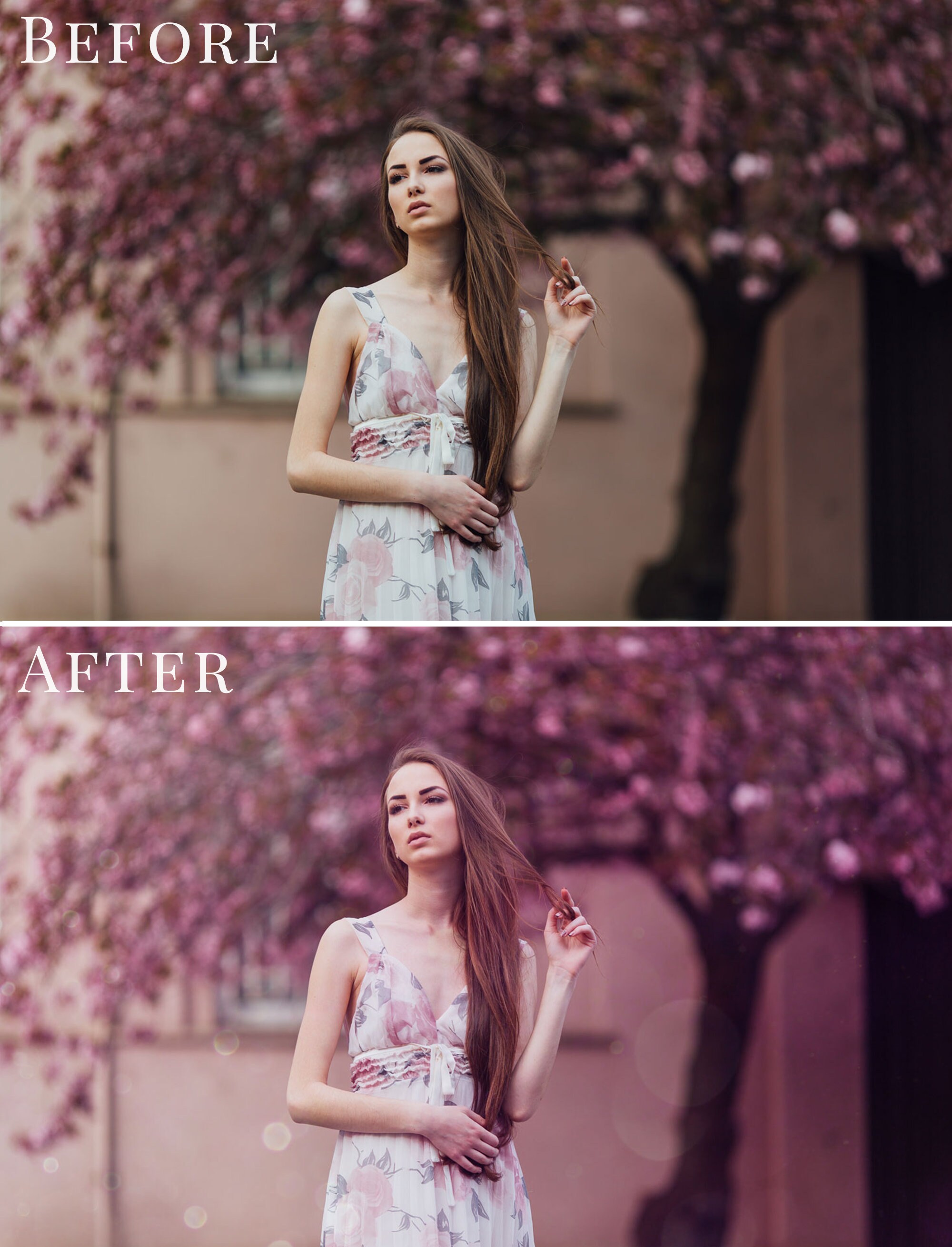 Lilac Purple Bokeh Photo Overlays for Photoshop Creative | Etsy