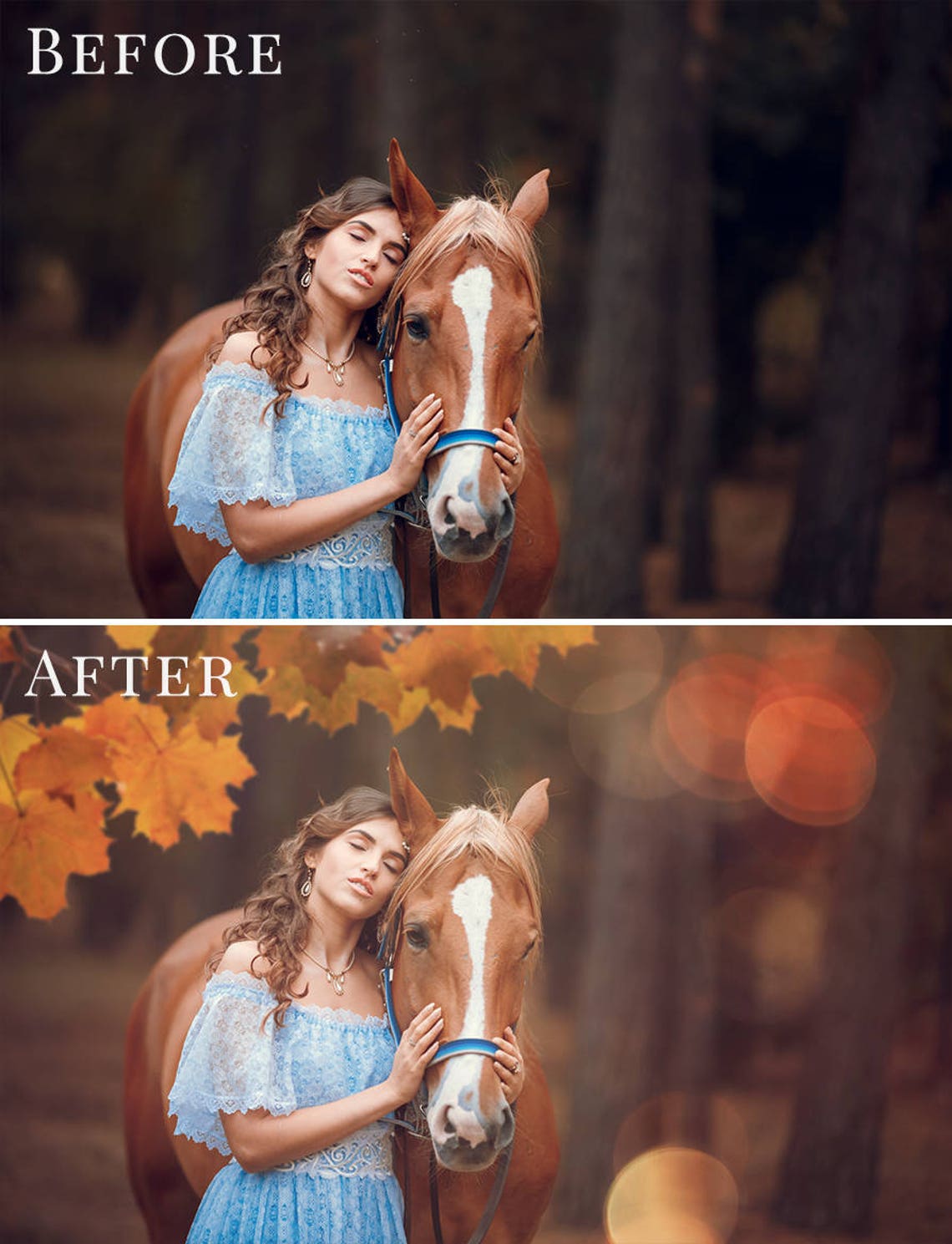 Colorful Fall Photo Overlays, Complete Bundle, Haze, Lights, Bokeh ...
