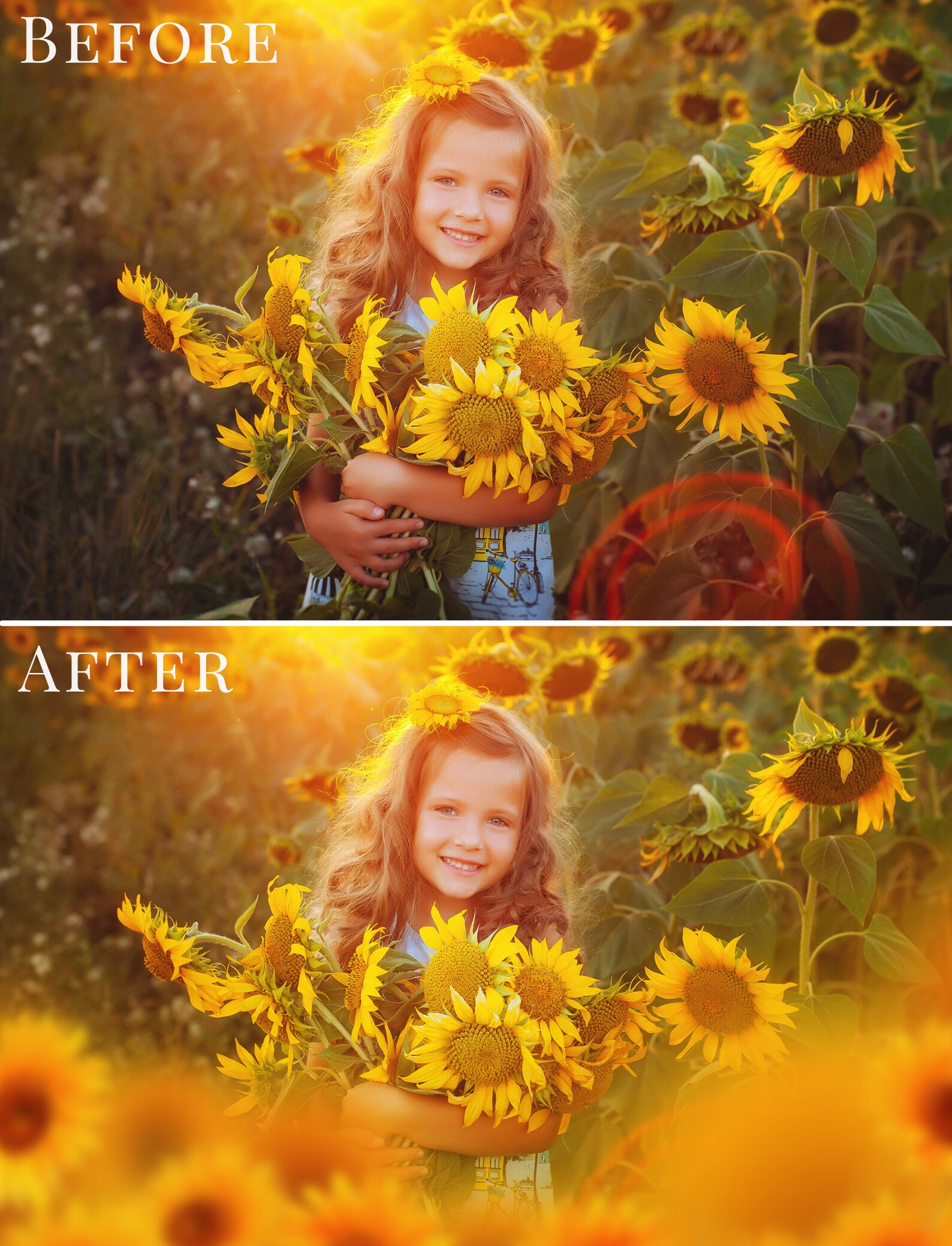 Sunflower Photo Overlays for Photoshop, Creative Overlays for ...