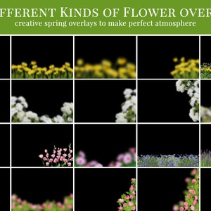 Spring Photo Overlays "flowery Spring", Flower Photo Overlays, Digital ...