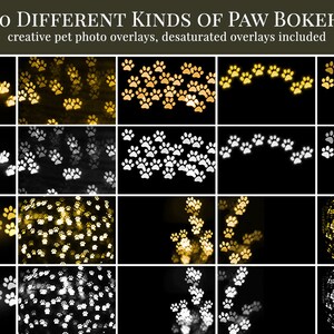 Dog Paws Bokeh Photo Overlays, Pet Photo Overlays, Animal Photo ...