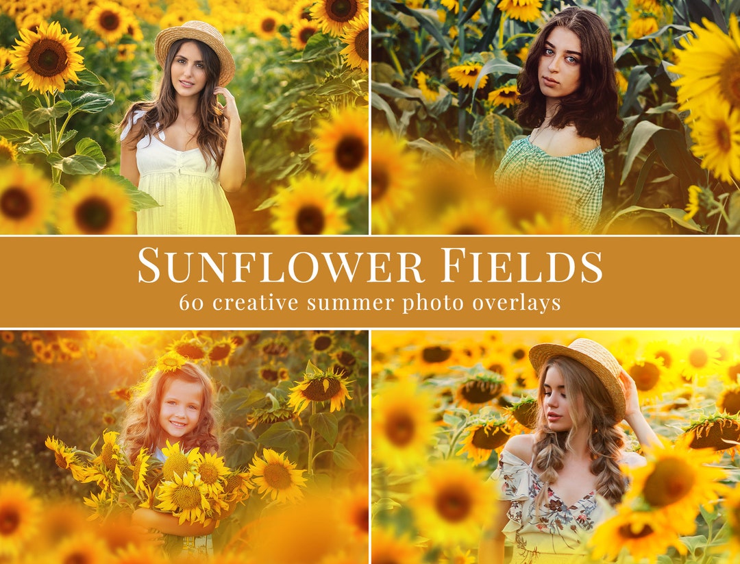 Sunflower Photo Overlays for Photoshop, Creative Overlays for ...