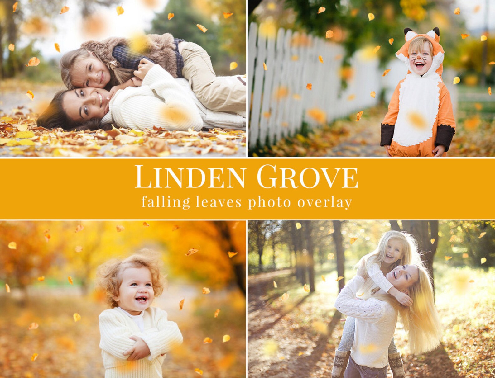 Fall Photo Overlays "linden Grove", Falling Leaves Photo Overlay ...