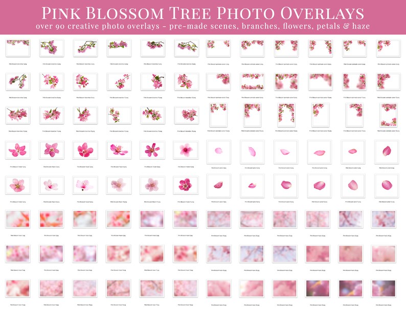Pink Blossom Tree Photo Overlays for Photoshop, Creative Spring ...