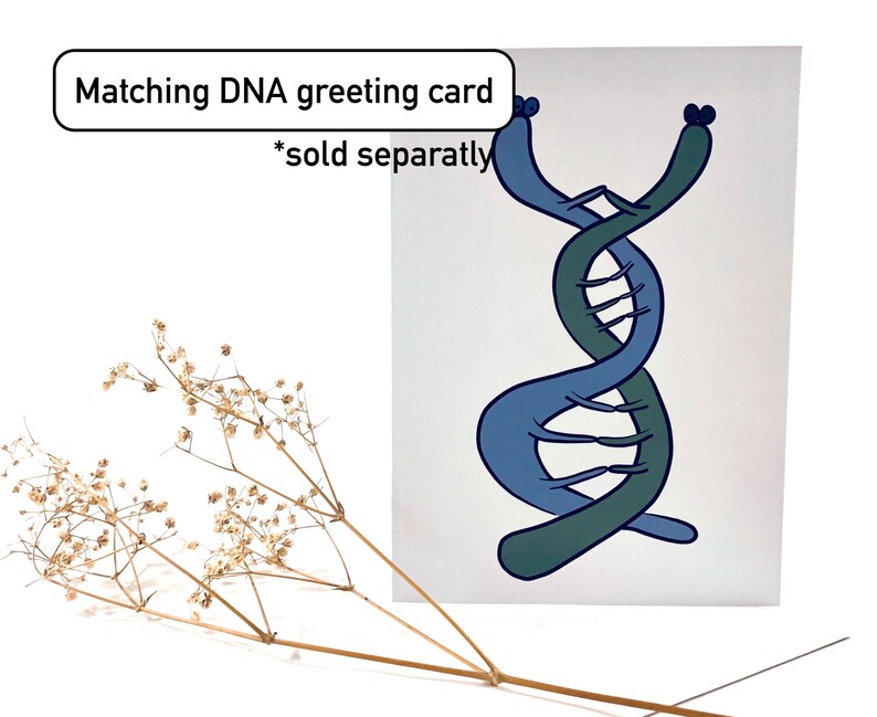 DNA Vinyl Removable Sticker Pack - Etsy