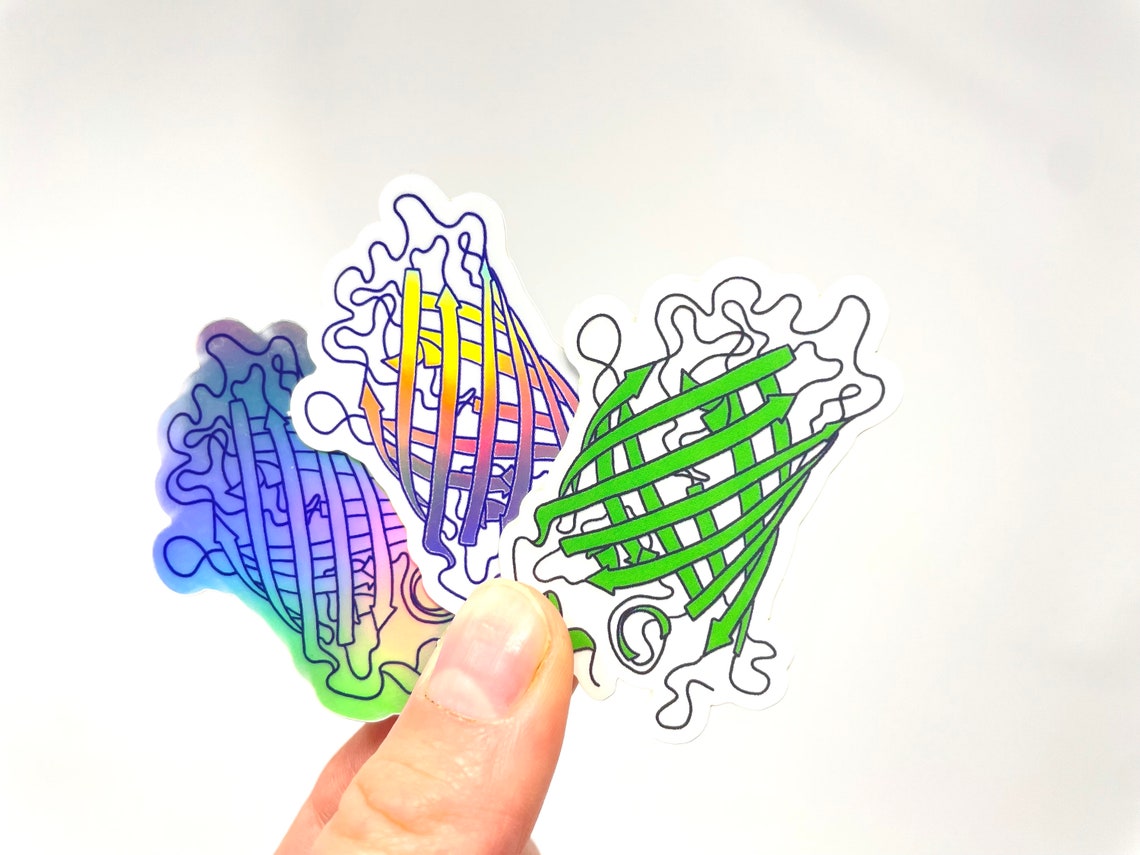 Green Fluorescent Protein GFP Sticker // Vinyl Waterproof - Etsy