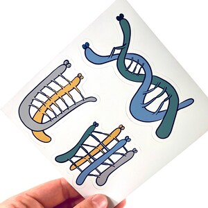 DNA Vinyl Removable Sticker Pack - Etsy