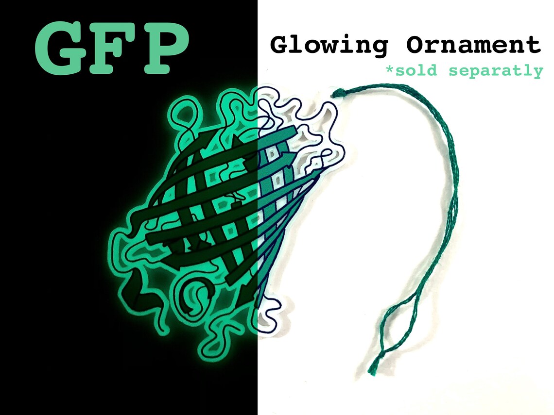 Green Fluorescent Protein GFP Sticker // Vinyl Waterproof - Etsy