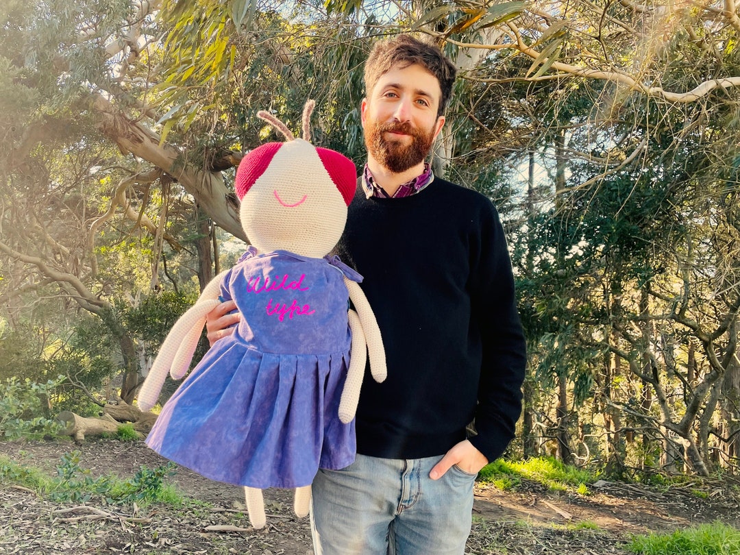 Huge Fruit Fly Plushie / Crochet Gigantic Drosophila Toy / 100% ...