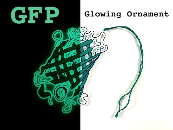 GFP Glow-in-the-dark Ornament // Green Fluorescent Protein | Etsy