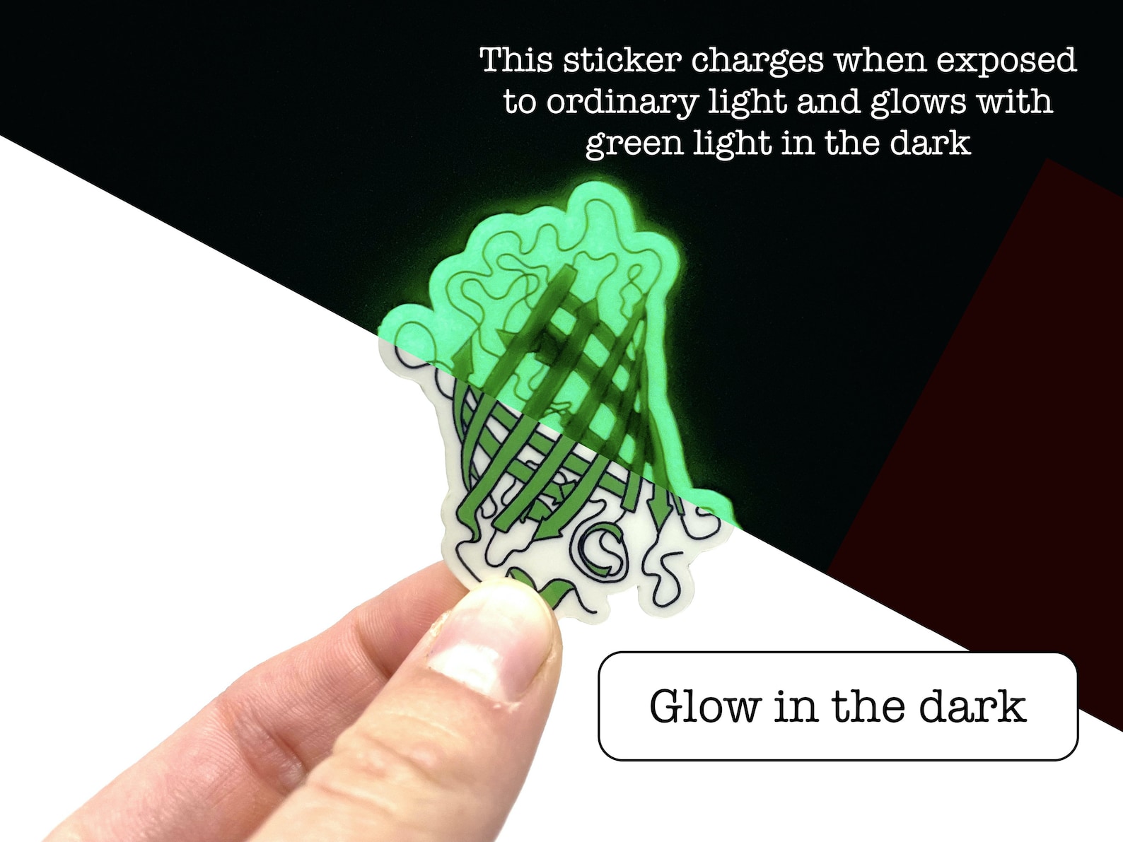 Green Fluorescent Protein GFP Sticker // Vinyl, Waterproof, and ...