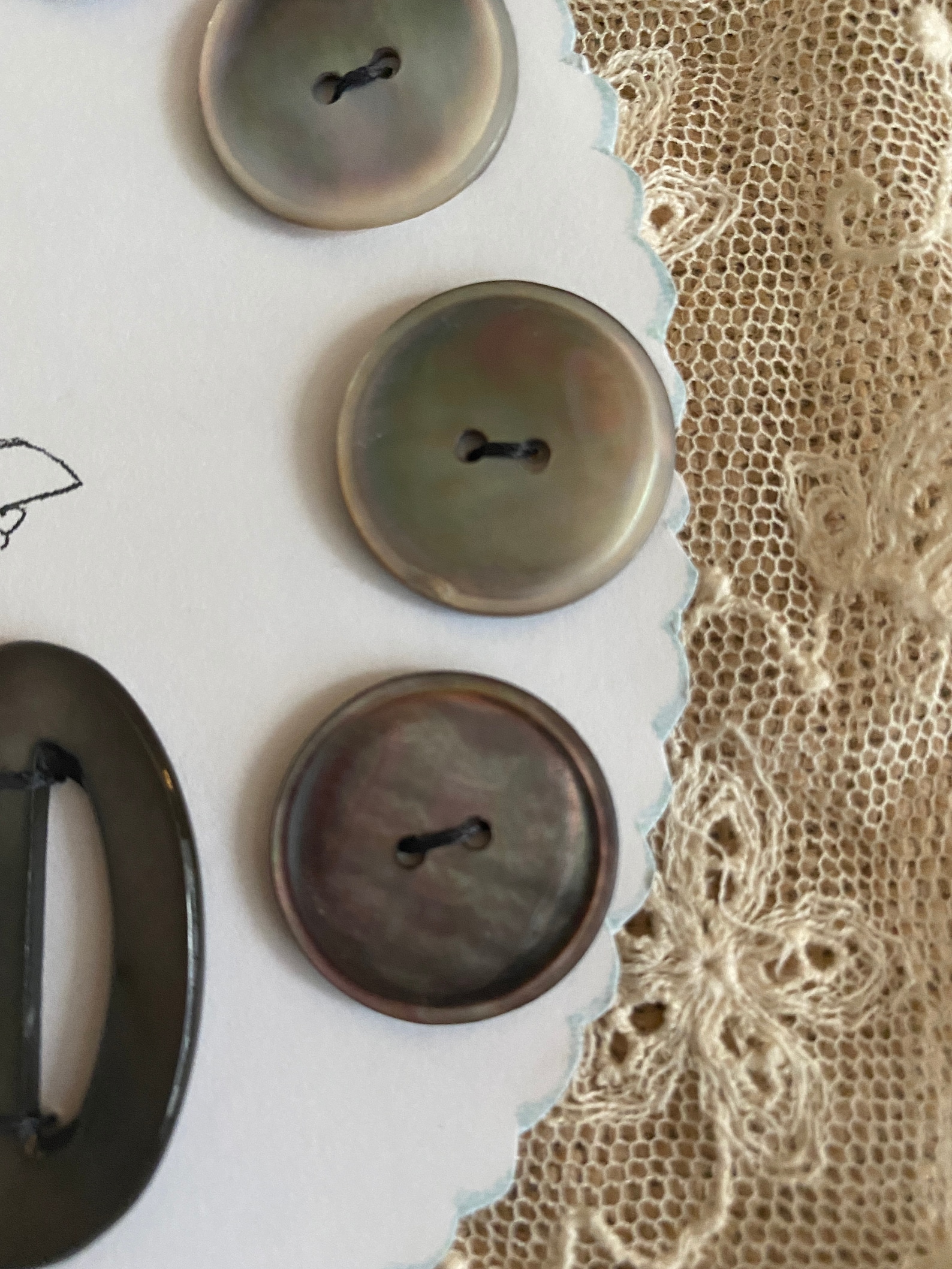 4 Vintage Shell Buttons and Matching Buckle. Art Deco - Etsy