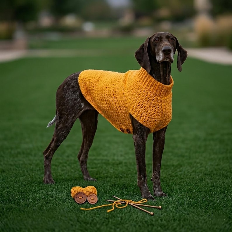 Adjustable Dog Sweater Crochet Pattern | Turtleneck Pet Jumper (PDF ...