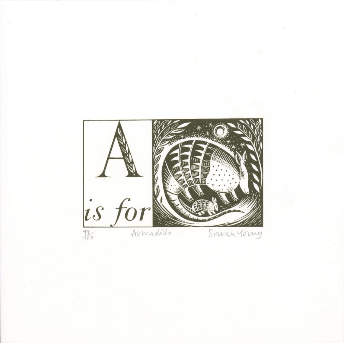 A is for Armadillo Alphabet Silkscreen Print - Etsy