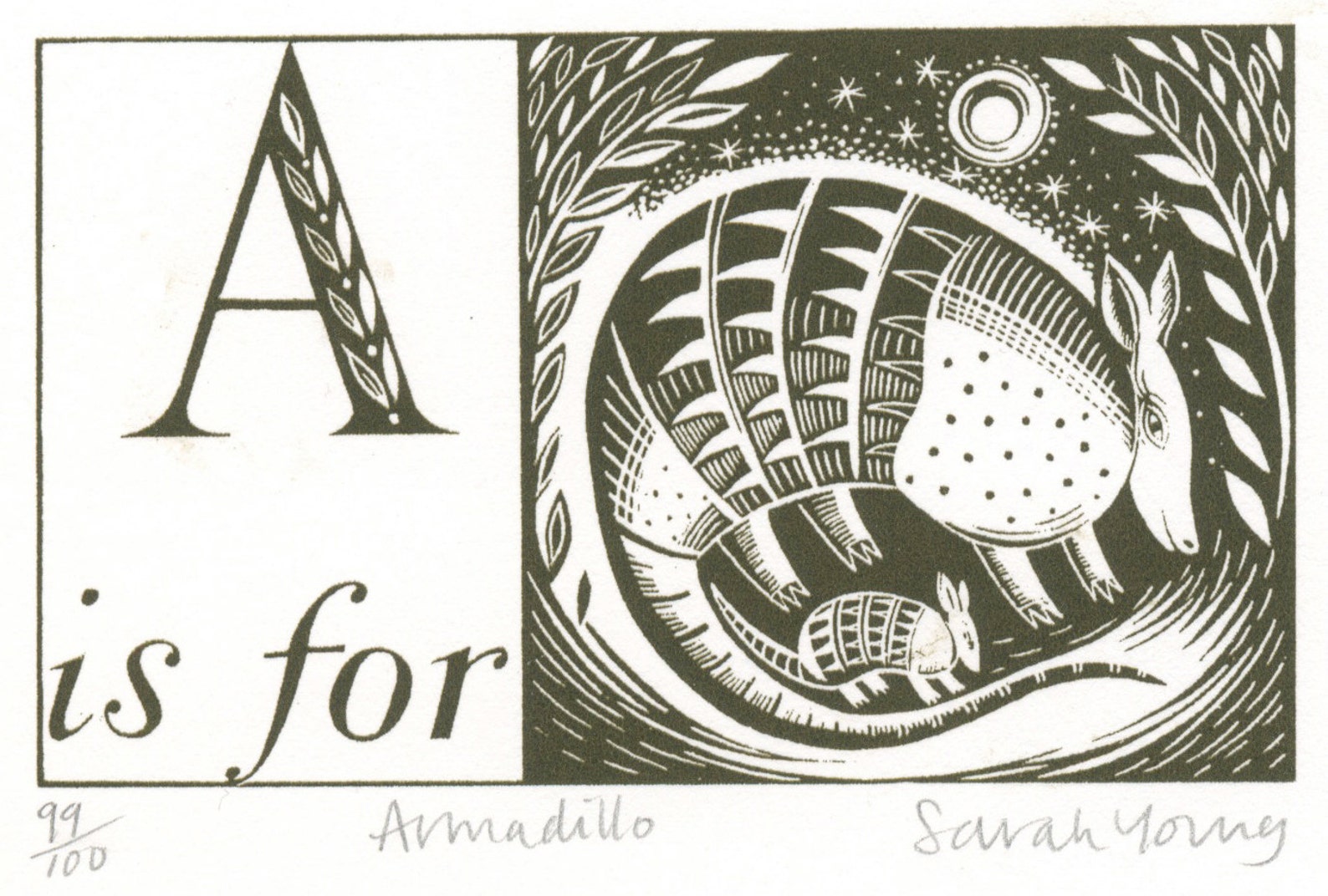 A is for Armadillo Alphabet Silkscreen Print - Etsy