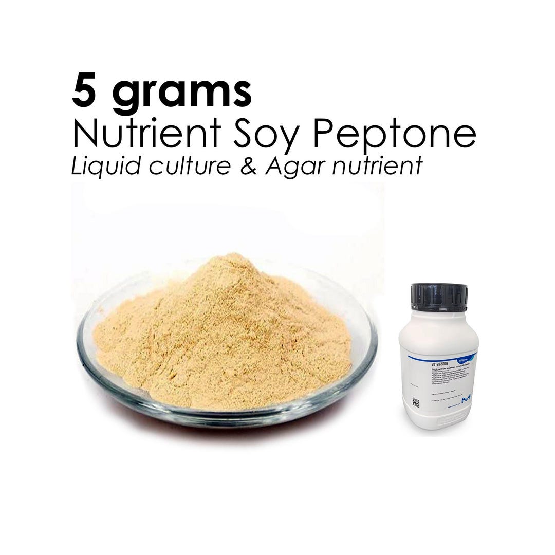 Peptone Nutrient Powder for Agar, Liquid Cultures, Mycology, Biology 5 ...