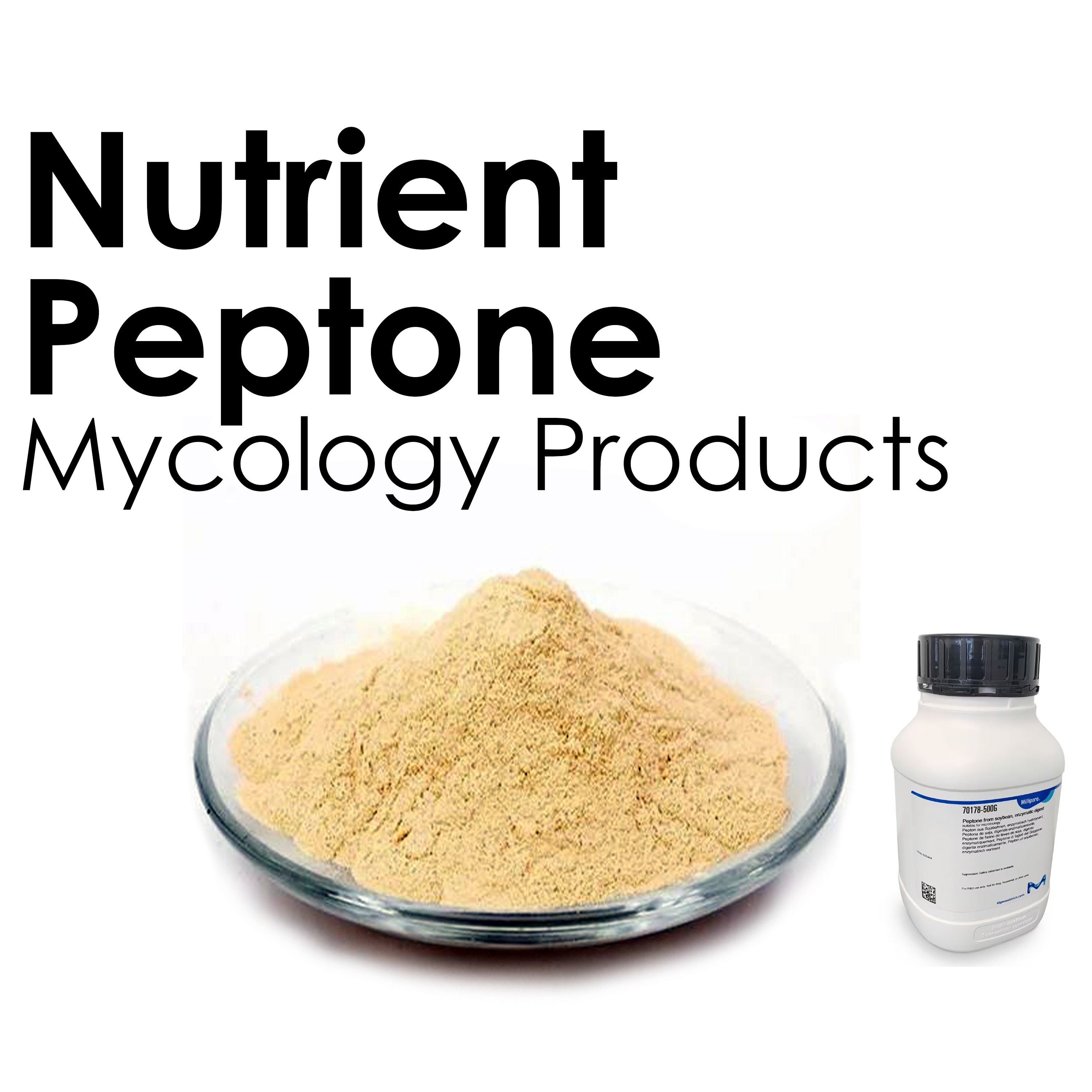 Peptone Nutrient Powder for Agar Liquid Cultures Mycology - Etsy Canada