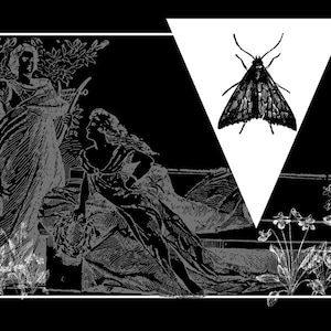 SAPPHO | Violet, Fig, & Ylang Ylang Perfume Oil, LGBTQIA+ Floral ...