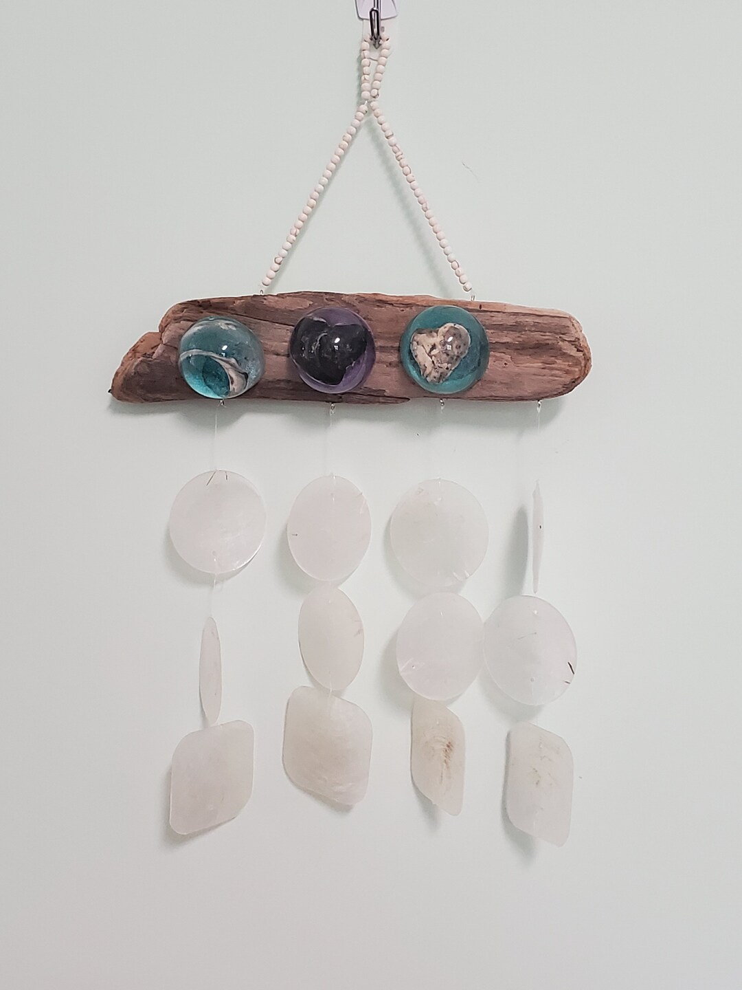 Shell Slices - Etsy