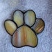 Paw Print Sun Catcher - Etsy
