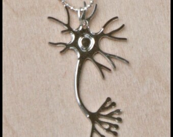 Neuron Necklace, Neuron Cell, Neuron Structure, Neuron Synapse ...