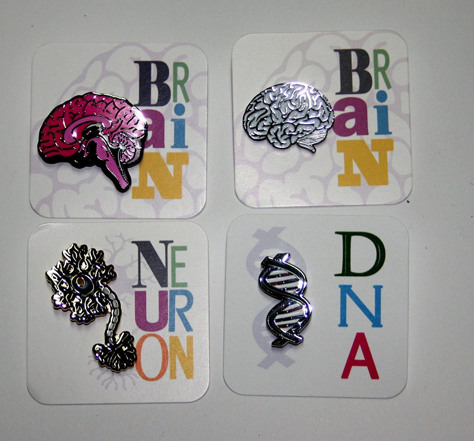 Medial View Brain Pin | Etsy