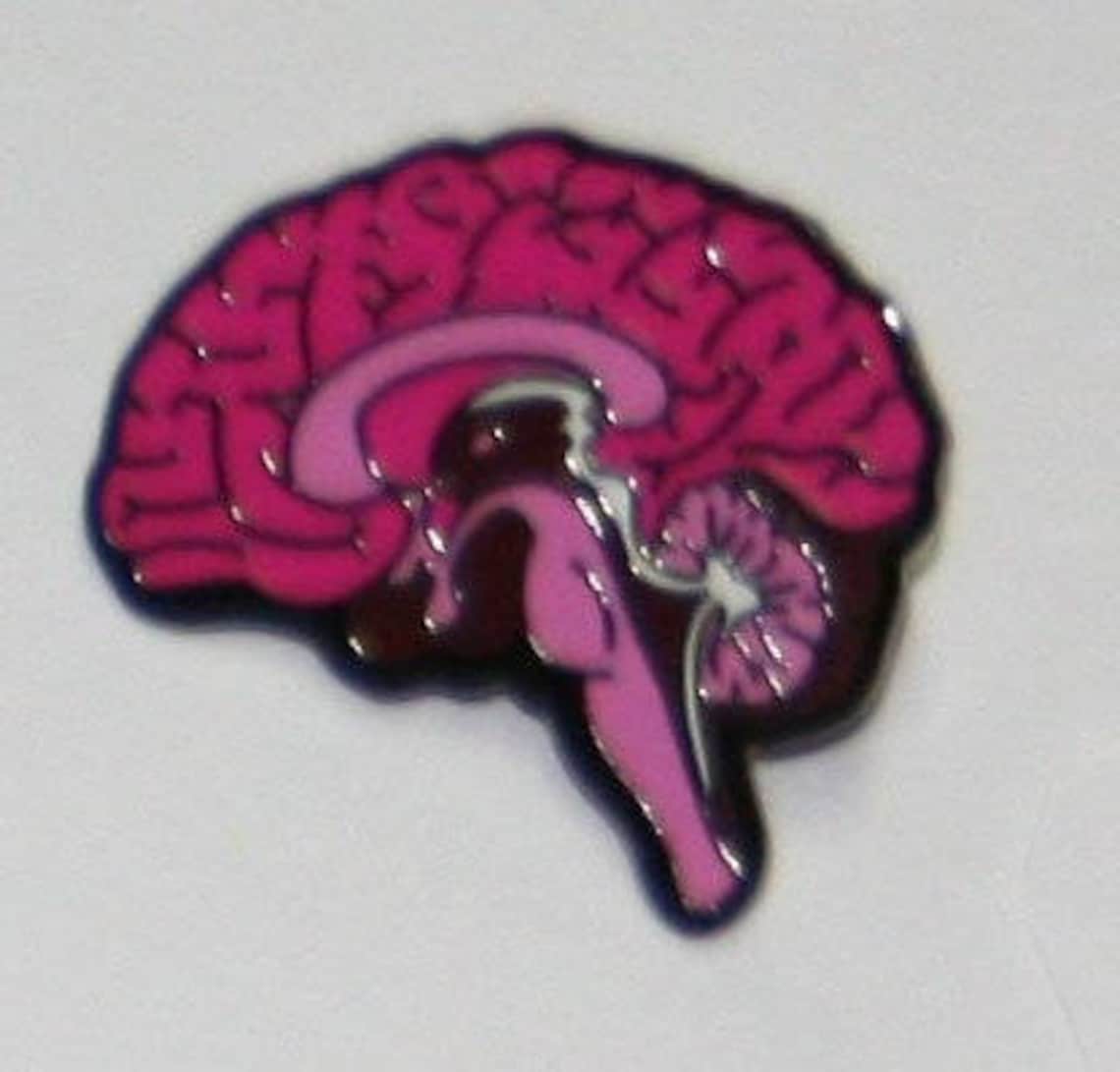 Medial View Brain Pin | Etsy