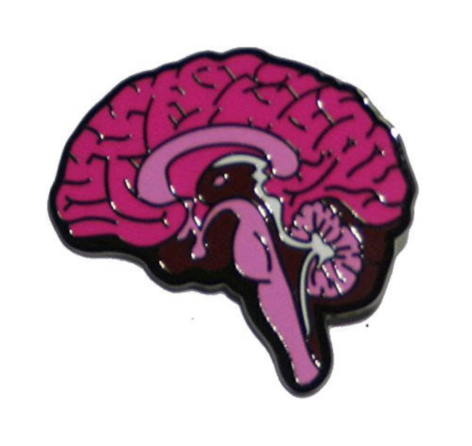 Medial View Brain Pin | Etsy