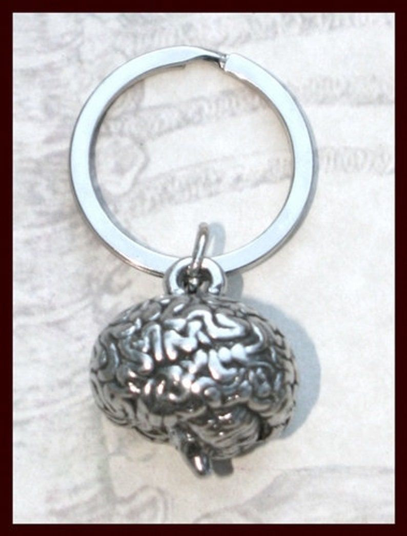 3-D Brain Key Chain - Etsy