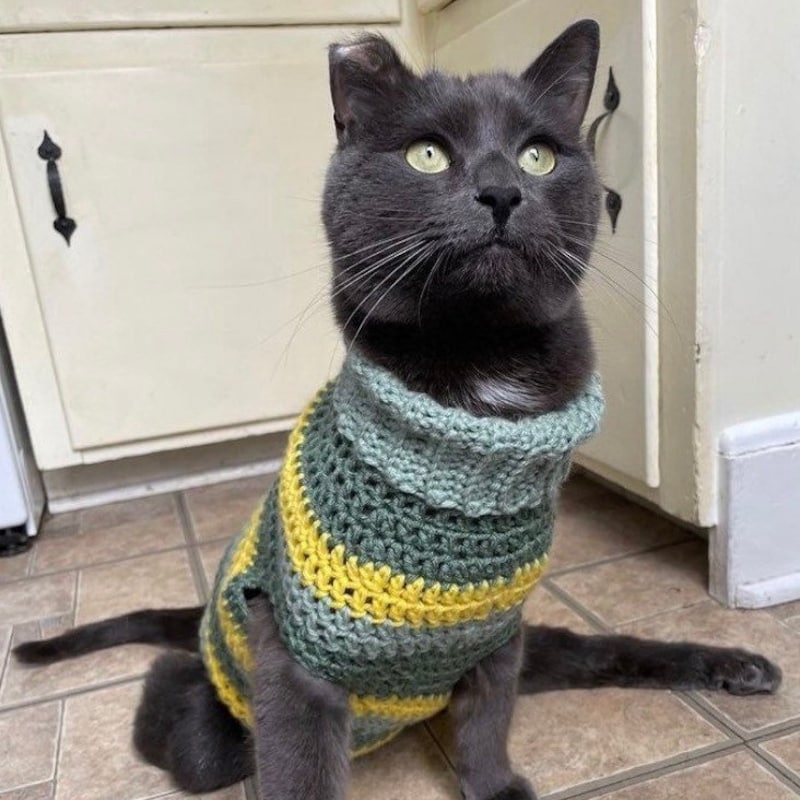 Cat Sweaters for Cats - Etsy