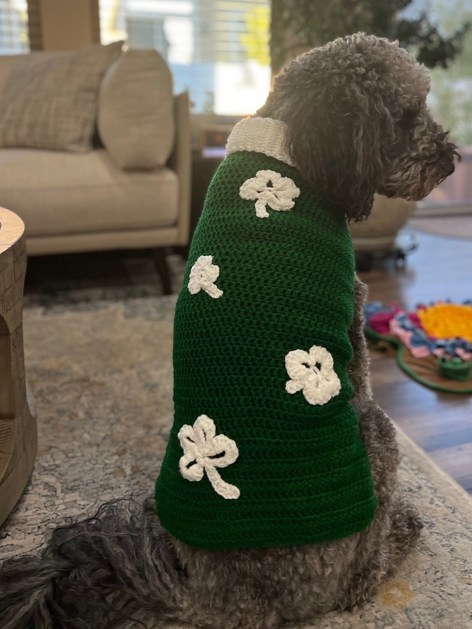 Green Crochet Shamrock Dog Sweater - Handmade - Etsy