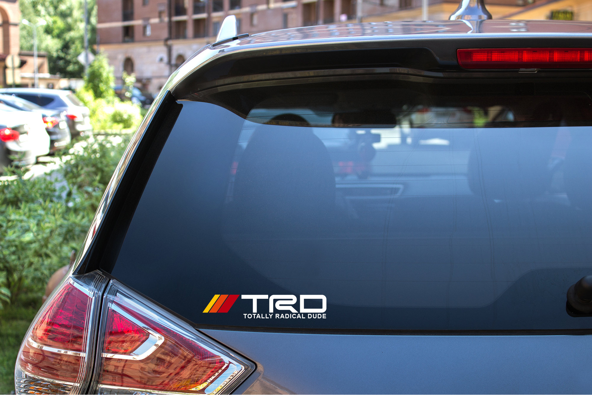 TRD Totally Radical Dude SVG PNG Digital File - Etsy