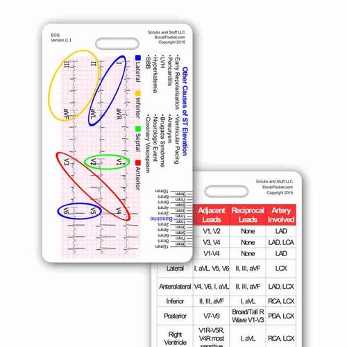 Lab Values Badge Pocket Card Reference Vertical for Nurse - Etsy
