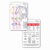 STEMI Reference Tool Vertical Badge Pocket Card for Nurse Paramedic RN ...