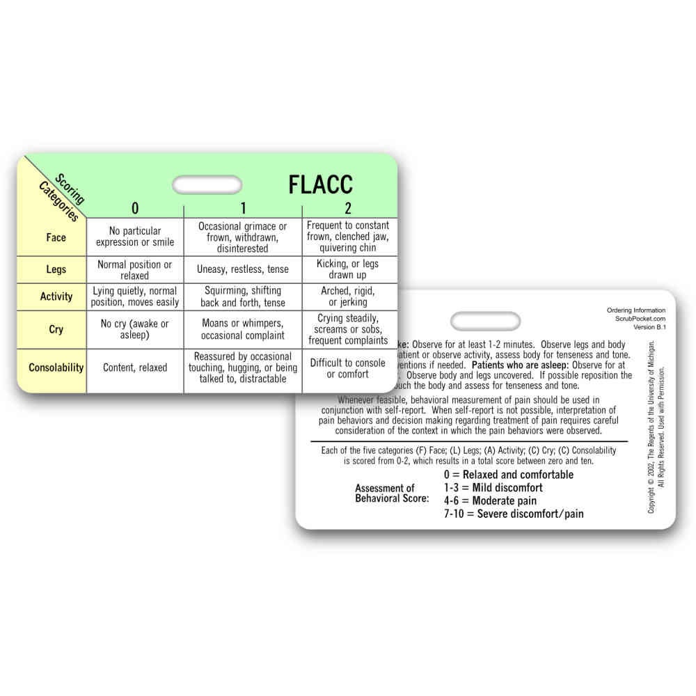 FLACC Pain Scale Horizontal Badge Card Accessory for Nurse - Etsy UK