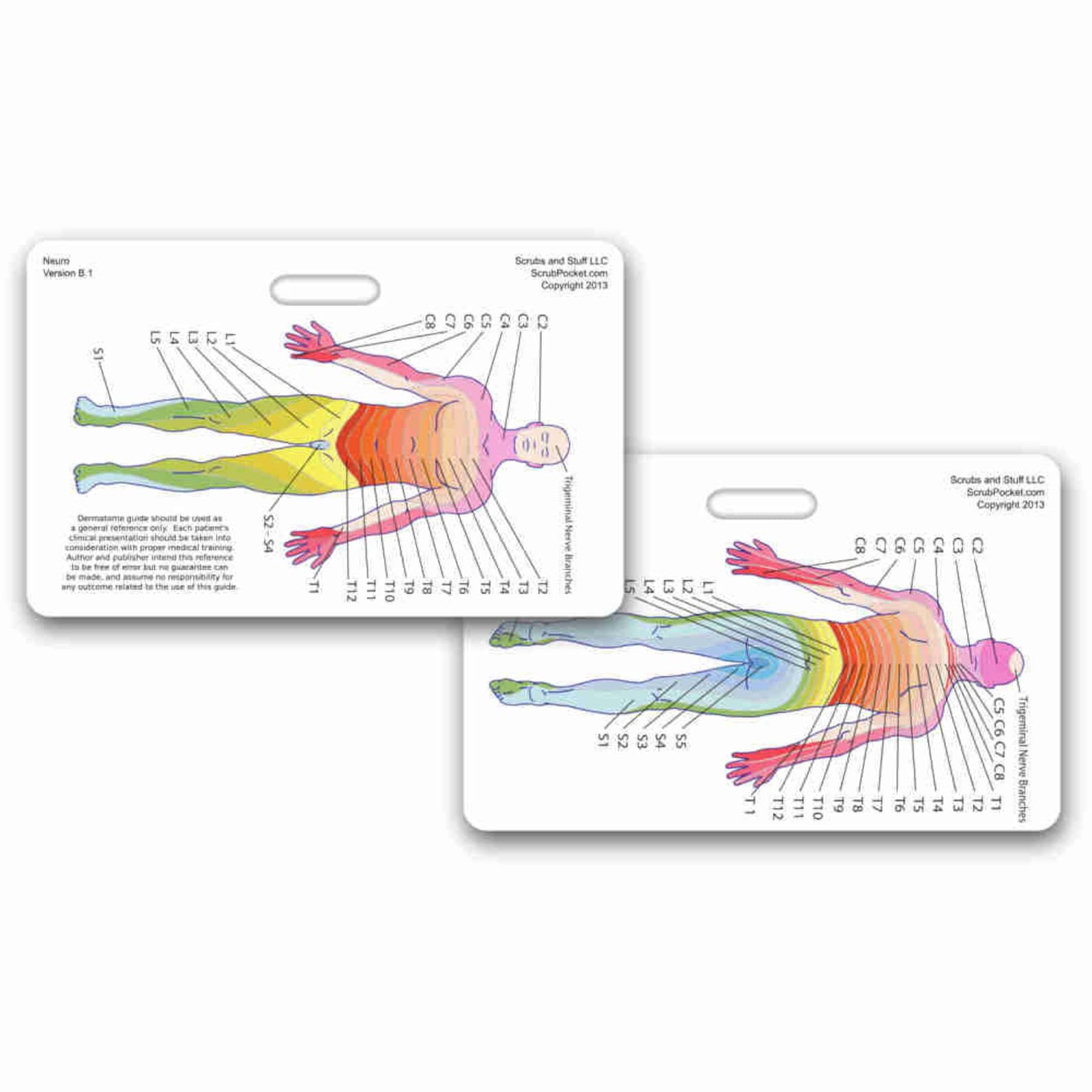 Dermatome Badge Pocket Card Horizontal for Nurse Paramedic EMT for ID ...